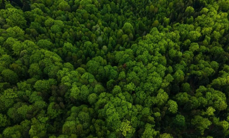 The Power of Sustainable Logistics Partnerships - Silver X Group