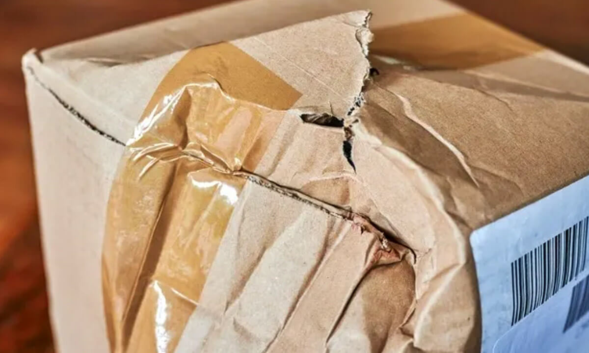 The True Cost of Cheap Logistics Services - Silver X Group